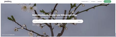 Die 12 Besten Kostenlosen Stock Video Seiten