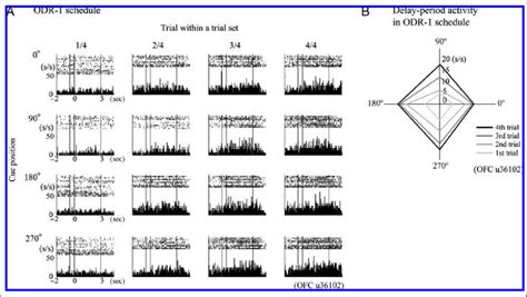A An Example Of R Type Delay Period Activity Observed In The Ofc With Download Scientific