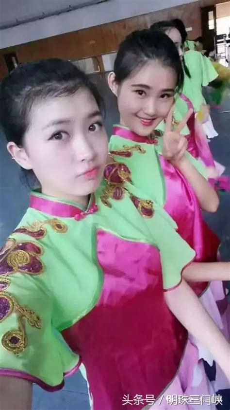 又聞槐花香 每日頭條