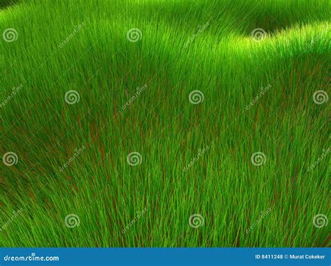 Grass Render Vector Background 205797441
