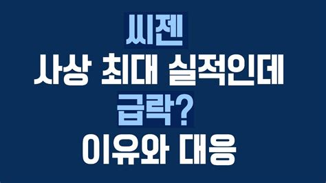 주식 시나 씨젠 주가 전망 Youtube