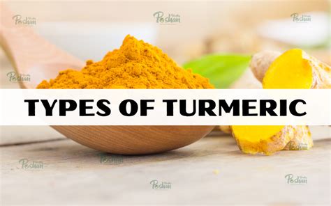 Different Types Of Turmeric Healthy Poshan