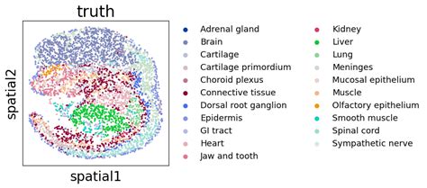Alignment Tutorial For Two E15 5 Stereo Seq Mouse Embryo Slices — 3d Ot 0 01 Documentation