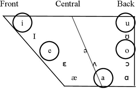 Figure 1 From Consonant Vowel Co Occurrence Patterns Produced By