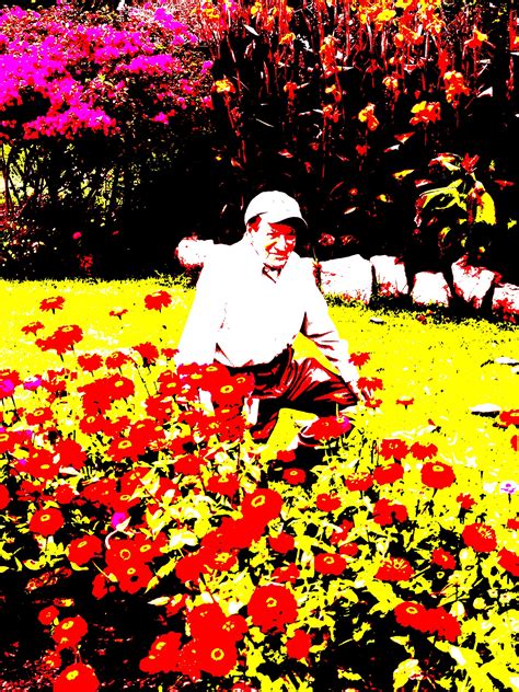 Github Franciscoordonez Compress Images With K Means Cluster