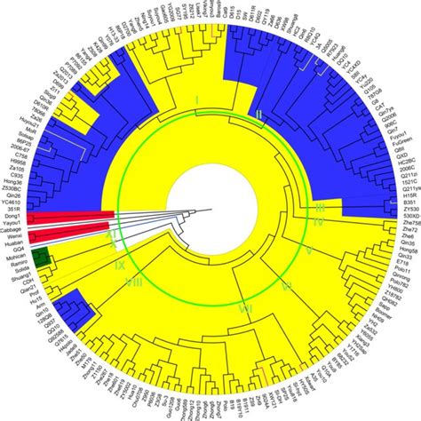 Dendrogram Of Upgma Clustering Based On Polymorphism Revealed By Ssr