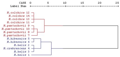 Cluster Analysis Wards Method And Squared Euclidean Distance 14 Download Scientific Diagram