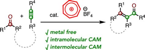 Carbocation Catalyzed Intramolecular And Intermolecular Carbonyl Alkyne