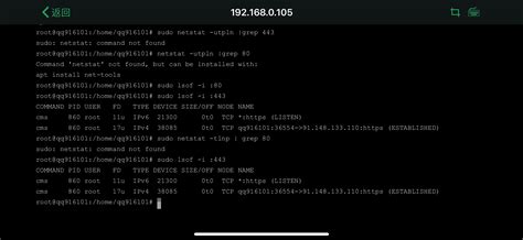 安装openresty提示443端口被占用 1panel 社区论坛 Fit2cloud 飞致云
