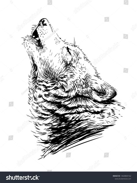Black And White Wolf Howling Drawings
