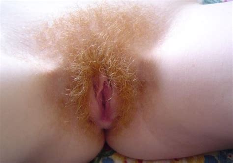 Legally Blond Hair Porn Pic Legally Blond Hair Porn Pic