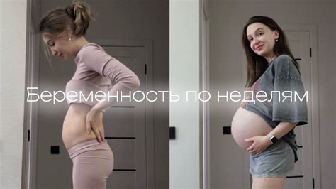 Pregnancy Transformation беременность по неделям Youtube