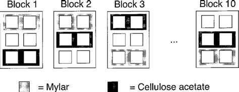 Schematic Presentation Of The Experimental Set Up Large Rectangles Download Scientific