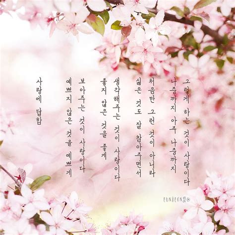 사랑에 답함 나태주 삶의 교훈 인용구 손글씨 영감을 주는 인용구