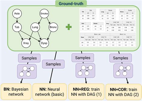 Paloma Rabaey Ghent University