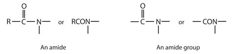Amine Vs Amide Structure