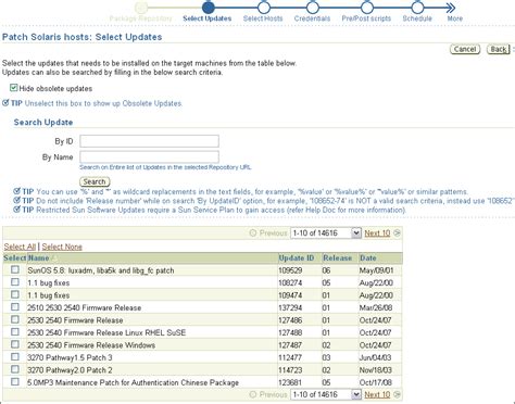 Patching Solaris Hosts