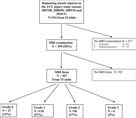 Hamstring Muscle Injuries In Professional Football The Correlation Of Mri Findings With Return