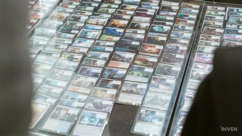 주사위가 반짝이는 이곳 보드 게임의 천국 팍스