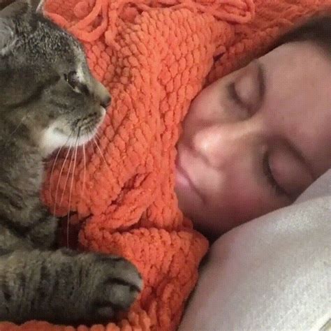 I Hit Your Snooze Button Go Back To Sleep  On Imgur