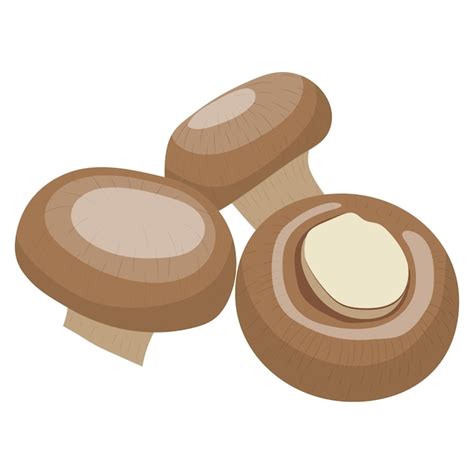 흰색 배경에 샴 피뇽 벡터 일러스트 레이 션 프리미엄 벡터