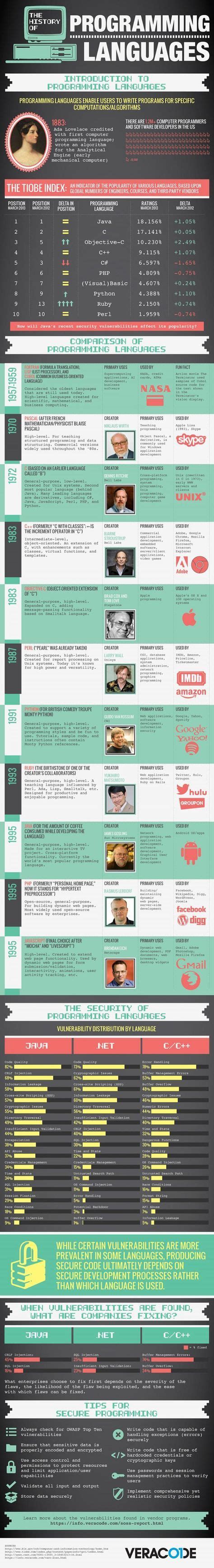 Educational Infographic A Brief History Of Computer Programming