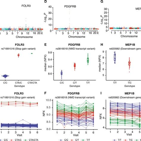 Examples Of Three Proteins With The Top Most Significant Pqtls A Download Scientific Diagram