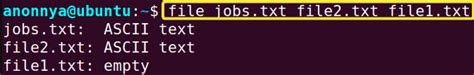 The “file” Command In Linux 9 Practical Examples Linuxsimply