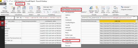 Add Hyperlinks To Crm Record In Power Bi Building Solutions Avinash Verma