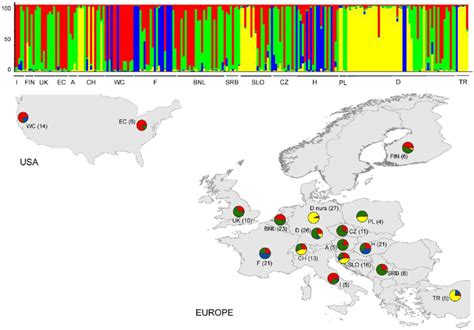 Population Clustering Of Phytophthora Plurivora Genetic Clustering K Download Scientific