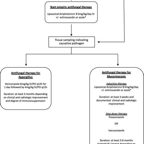 Acute Invasive Fungal Sinusitis Surgical Management Algorithm