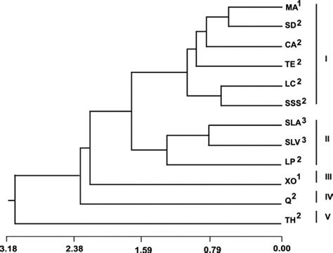 Unweighted Pair Group Method With Arithmetic Mean Phenogram Based On