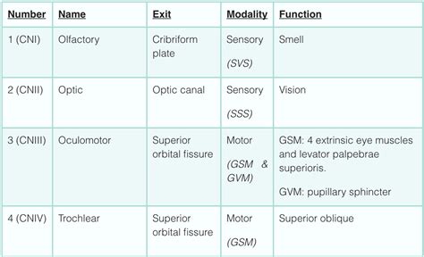 Cranial Nerves Function Chart Cranial Nerves Function Chart