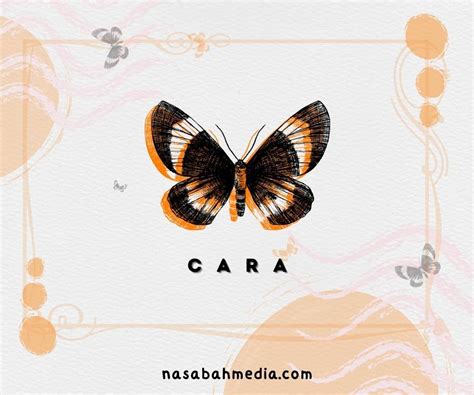 Cara Filter Excel Berdasarkan Tanggal Trik Mudah Untuk Menyusun Datamu Nasabahmedia