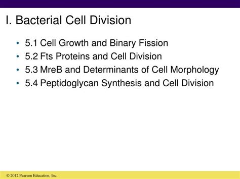 PPT I Bacterial Cell Division PowerPoint Presentation Free Download ID 801937