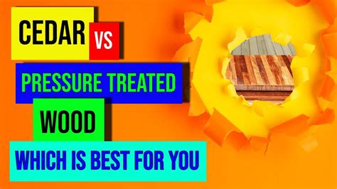 Cedar Vs Pressure Treated Wood The Ultimate Showdown Toolsgearlab