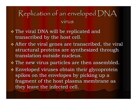 Viruses PDF Biological Sciences Science