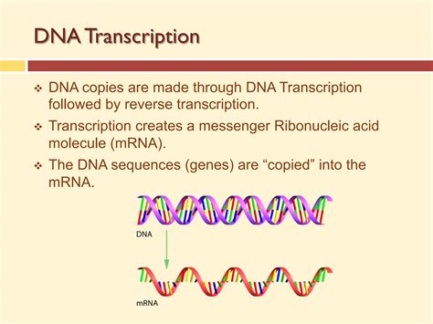 DNA Microarray Presentation Dna Fingerprinting Dna Biotechnology PDF Genetics Science