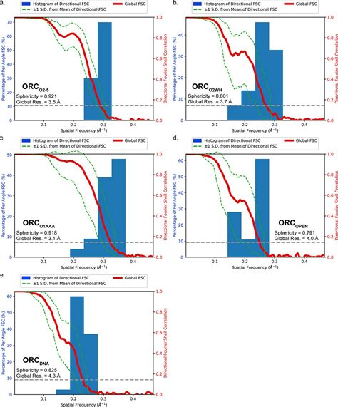 Figures And Data In The Dynamic Nature Of The Human Origin Recognition