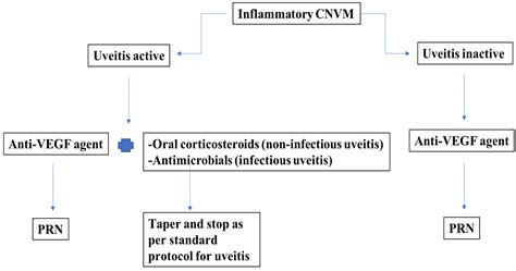 How Do We Treat Inflammatory Cnvm