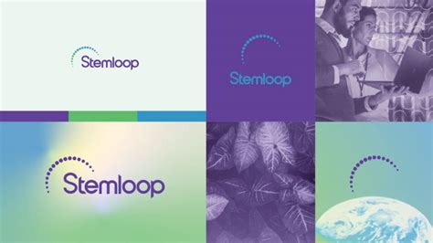 Stemloop Brand Identity Glantz