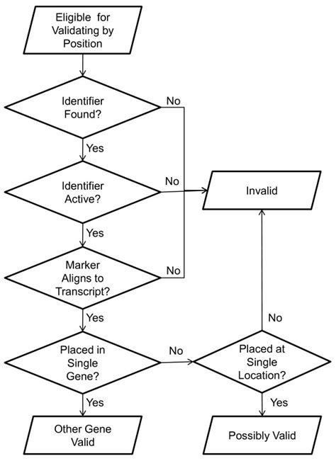 Flowchart Showing The Process Described In Methods Used To Validate A