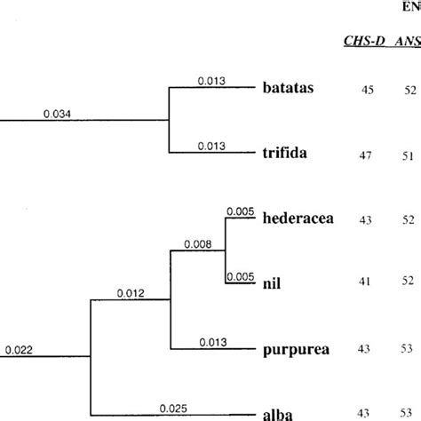 The Maximum Likelihood Tree Obtained Using Combined Coding Sequences