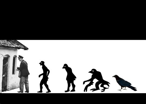 Evolution 50 Ways To See The Crow As A Superstition Illustrations