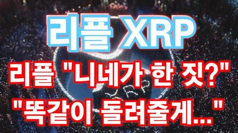 와~씨 리플 진짜 미쳤습니다 Youtube