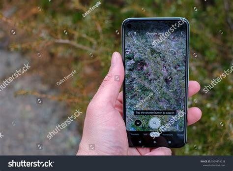 Google Pixel Scanning Images Stock Photos Vectors Shutterstock