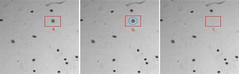 the process of interpolation filling download scientific diagram