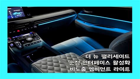 더 뉴 팰리세이드 순정 모니터 활성화 비노출 엠비언트 라이트 Youtube