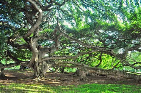 අකනිටාව June 2018