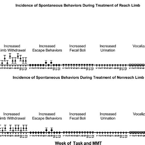 Branches Of The Median Nerve And Lumbricals In Cross Sections And